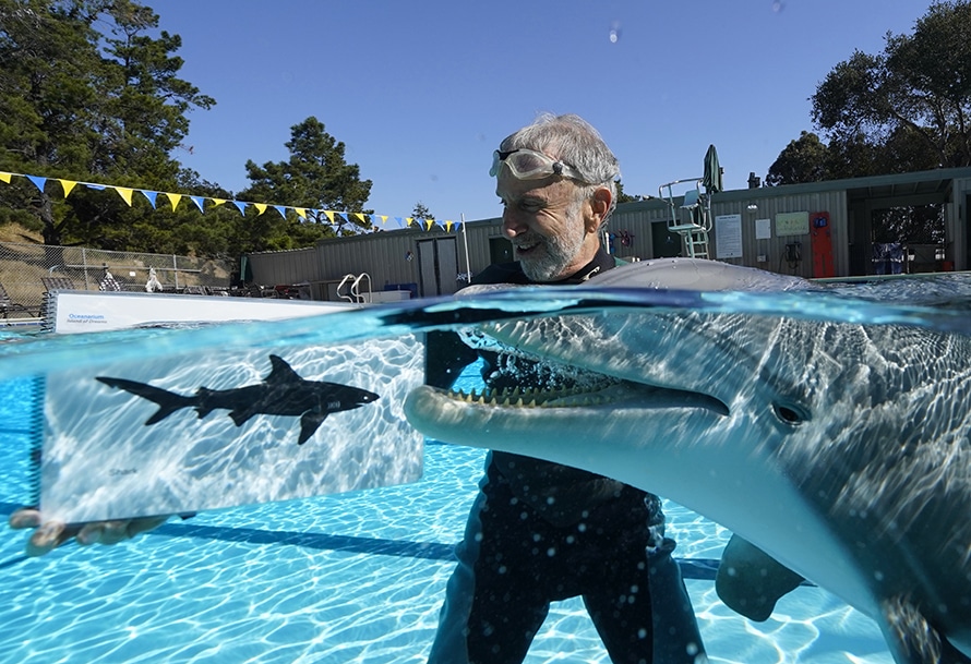 Roger Holzberg (Theater BFA 78) – The Pool